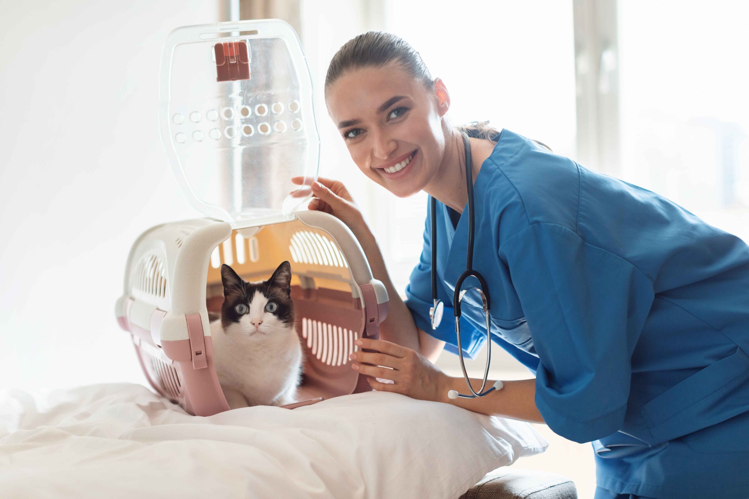 Emergency Pet Poisoning Treatment | North MS Pet Emergency