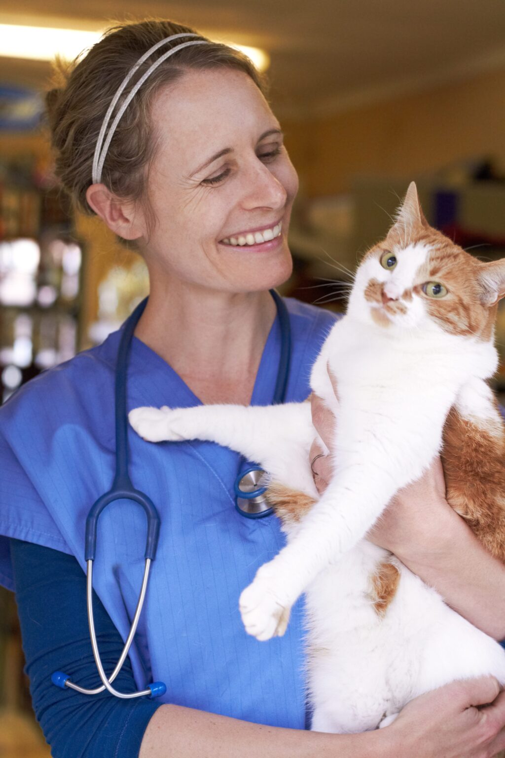 North MS Pet Emergency | After-Hours Veterinary Urgent Care