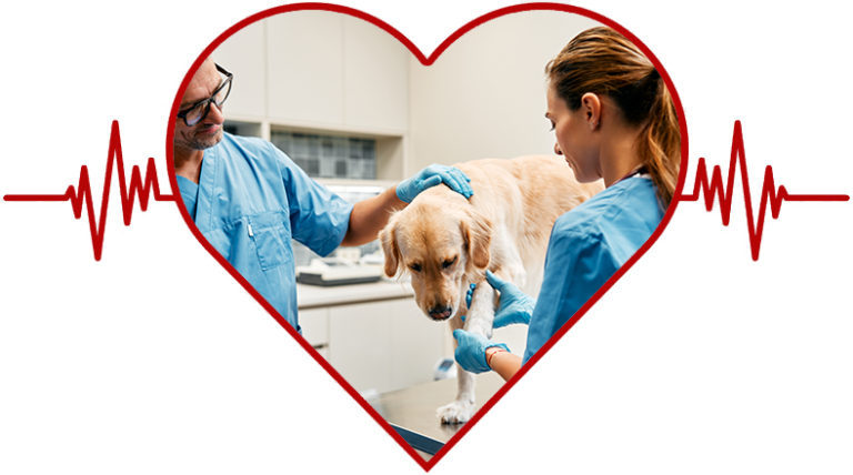 North MS Pet Emergency | After-Hours Veterinary Urgent Care